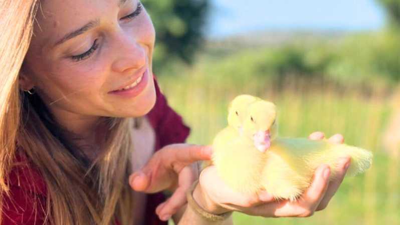 Gallura: Picnic on a Farm with Animals - What Makes This Experience Special?