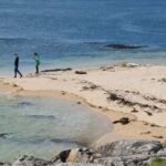 Galway: Kylemore, Sheep Farm and Connemara Private Day Tour - Breaking Down the Value