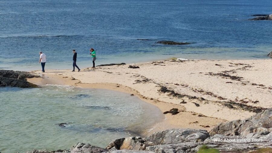 Galway: Kylemore, Sheep Farm and Connemara Private Day Tour - Breaking Down the Value