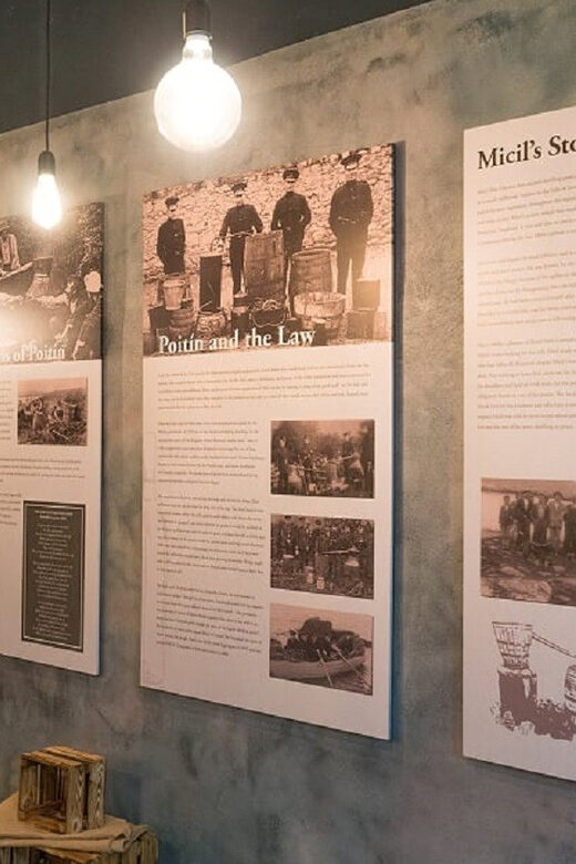 Galway: Traditional Irish Poitin & Gin Distillery Tour - What to Expect from the Galway Poitin & Gin Distillery Tour