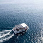 Gandía: Boat trip in Gandía Bay - Who is This Tour Best For?