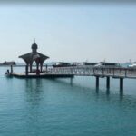 Gandía: History, Beach & Albufera Natural Park Private Tour - The Value of the Experience