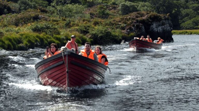 Gap of Dunloe - Boat Only & Self Guided Hike - Reen Pier - Exploring the Gap of Dunloe — A Self-Guided Adventure with a Scenic Boat Ride
