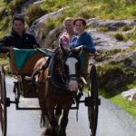 Gap of Dunloe & Lakes of Killlarney Boat Tour - What’s Included and What’s Not