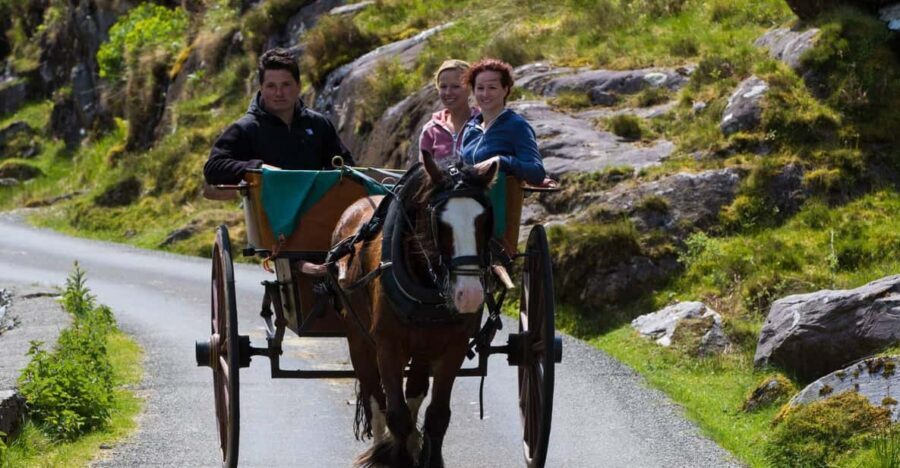 Gap of Dunloe & Lakes of Killlarney Boat Tour - What’s Included and What’s Not