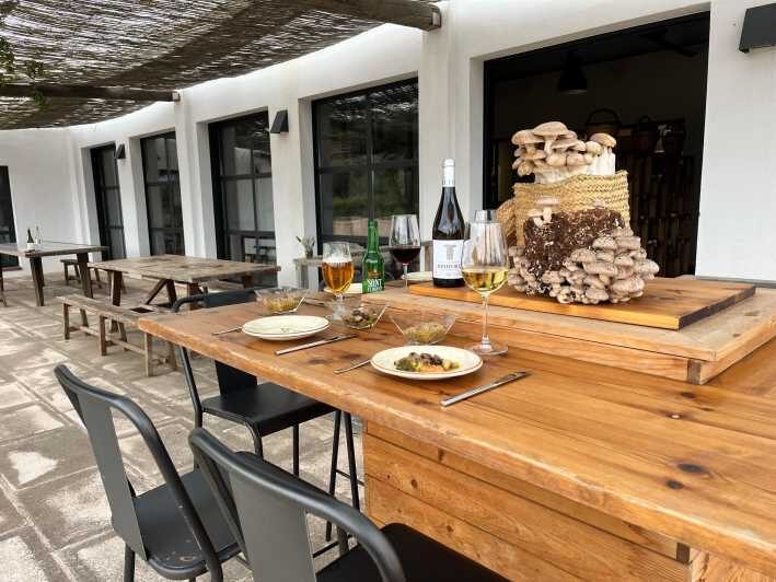 GASTRONOMIC MUSHROOM EXPERIENCE. Tour not included - An In-Depth Look at the Mushroom Tasting Experience in Menorca