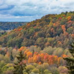 Gauja National Park Guided Hiking Tour - A Deep Dive into the Gauja National Park Experience
