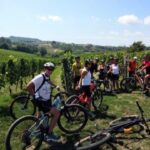 Gavi: E-Bike Tour with Wine Tasting - Who Will Love This Tour?