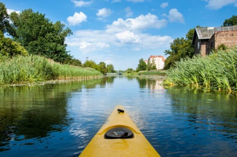Gdansk: Guided Kayak Tour - Authentic Experiences and Practicalities