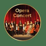 Gdansk: Vienna Opera Gala - Who Should Book This Experience?