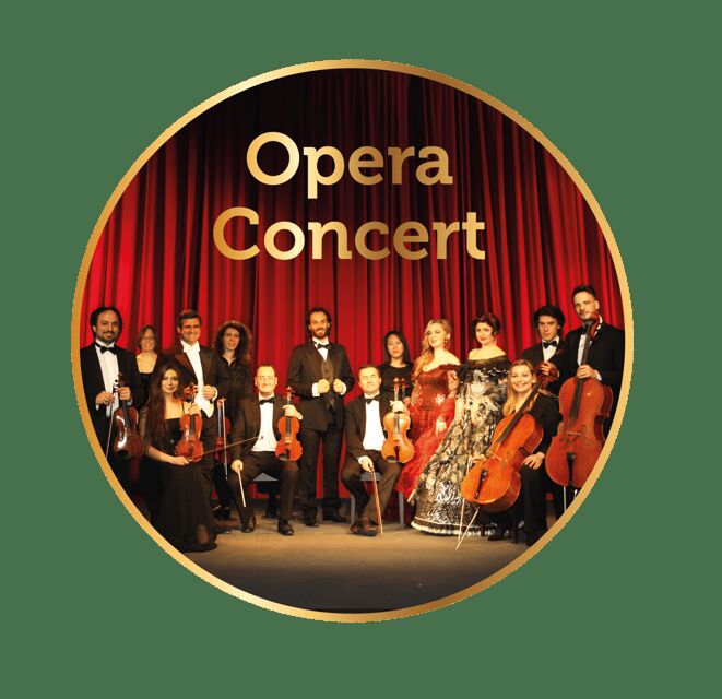 Gdansk: Vienna Opera Gala - Who Should Book This Experience?