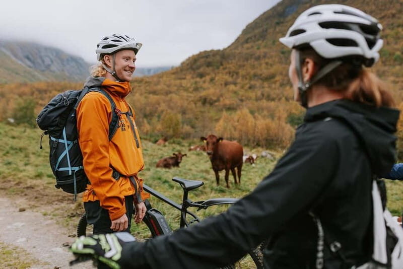Geiranger: E-Bike and Hike to Haugsetsætra with Local Lunch - What Makes This Tour Stand Out