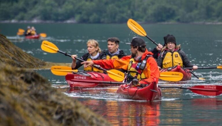 Geiranger: Kayak tour with guide - Why You Should Consider This Tour