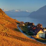 Geneva: Guided wine tour - Detailed Breakdown of the Itinerary