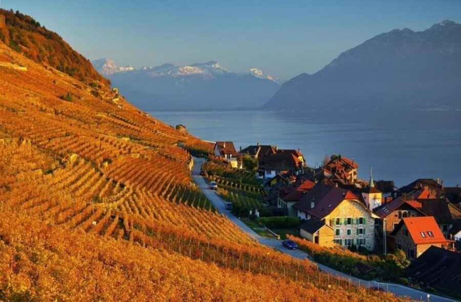 Geneva: Guided wine tour - Detailed Breakdown of the Itinerary