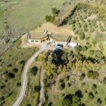 Genoni: PARC Museum Entry Ticket - What You’ll Experience at PARC Museum