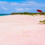 Georgioupolis Area: Full-Day Bus Trip to Elafonisi Island - Who Should Consider This Tour?