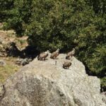 Georgioupolis Full-Day Land Rover Safari Experience - An In-Depth Look at the Tour