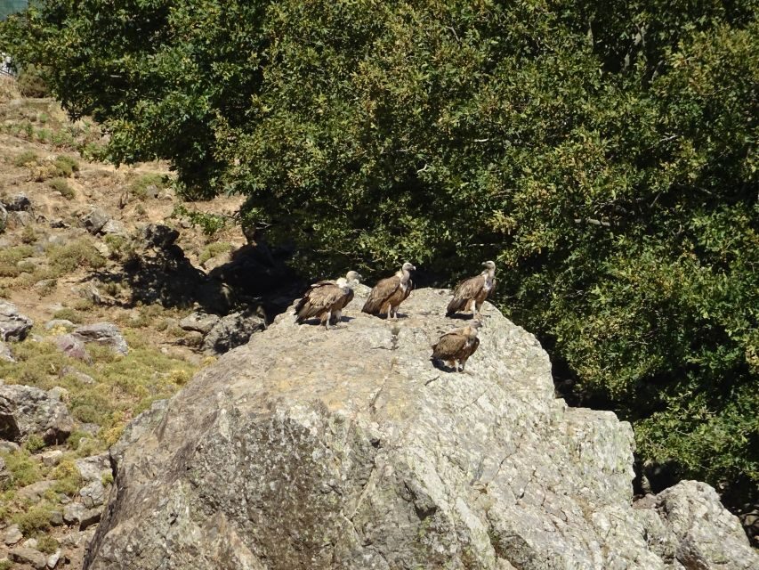 Georgioupolis Full-Day Land Rover Safari Experience - An In-Depth Look at the Tour