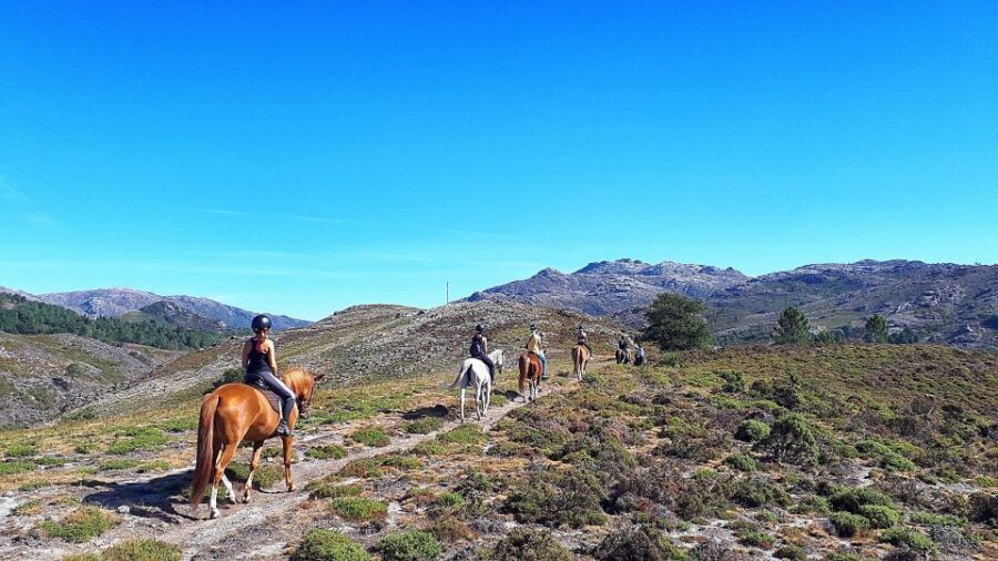 Gerês Braga: Horseback Ride in Peneda Gerês National Park - Practicalities and What’s Included