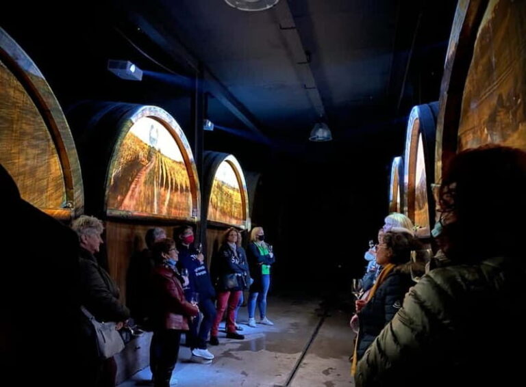 Gertwiller: Alsace Cellar Tour, Wine Tasting & Picnic Basket - Who Will Love This Tour?