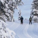 Get Known with Cross Country Skiing Experience in Saariselkä - The Itinerary in Detail