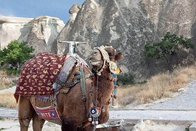Get the Hump on Cappadocia's Camel ride - A Detailed Look at the Itinerary