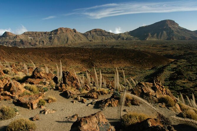 Get to know the Teide National Park and the north of Tenerife on a private tour - Key Points