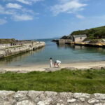 GIANTS CAUSEWAY & BLACK TAXI TOUR - What’s Included and What to Expect