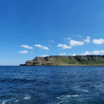 Giant's Causeway Private Tour by Five Star Luxury Transfers - Comfort, Customization, and Practical Details