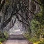 Giants Causeway Tour From Belfast including Game of thrones sites - Transportation and Comfort