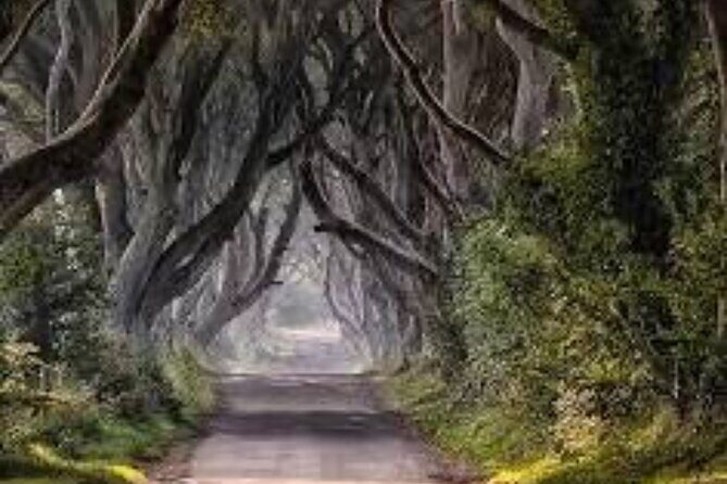 Giants Causeway Tour From Belfast including Game of thrones sites - Transportation and Comfort