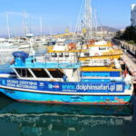 Gibraltar: Dolphin Watching Boat Tour V.I.P - An In-Depth Look at the Gibraltar Dolphin Watching Tour