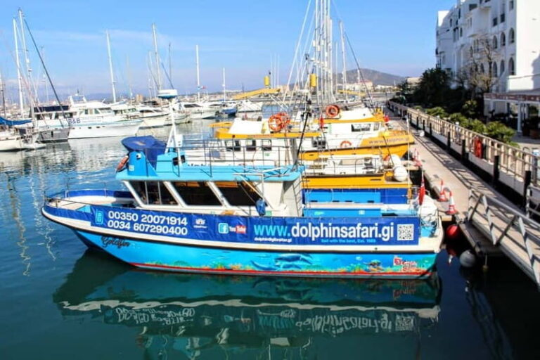 Gibraltar: Dolphin Watching Boat Tour V.I.P - An In-Depth Look at the Gibraltar Dolphin Watching Tour