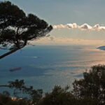 Gibraltar: Guided Tour by Bus Including Tickets - Who Should Consider This Tour?