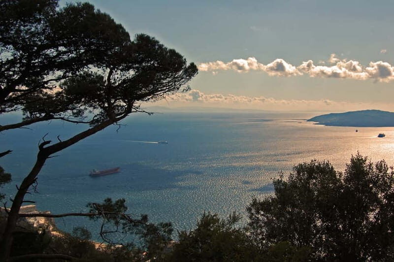 Gibraltar: Guided Tour by Bus Including Tickets - Who Should Consider This Tour?