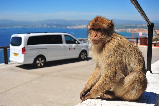 Gibraltar Inside Out Panoramic Tour 1hrs Plus - The Itinerary: A Step-by-Step Journey