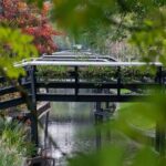 Giethoorn: Highlights Canal Cruise and Sightseeing Village - Practical Tips for Visitors