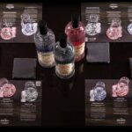 Gin Tasting Experience with a Perfect Serve - Who Should Consider This Gin Tasting?