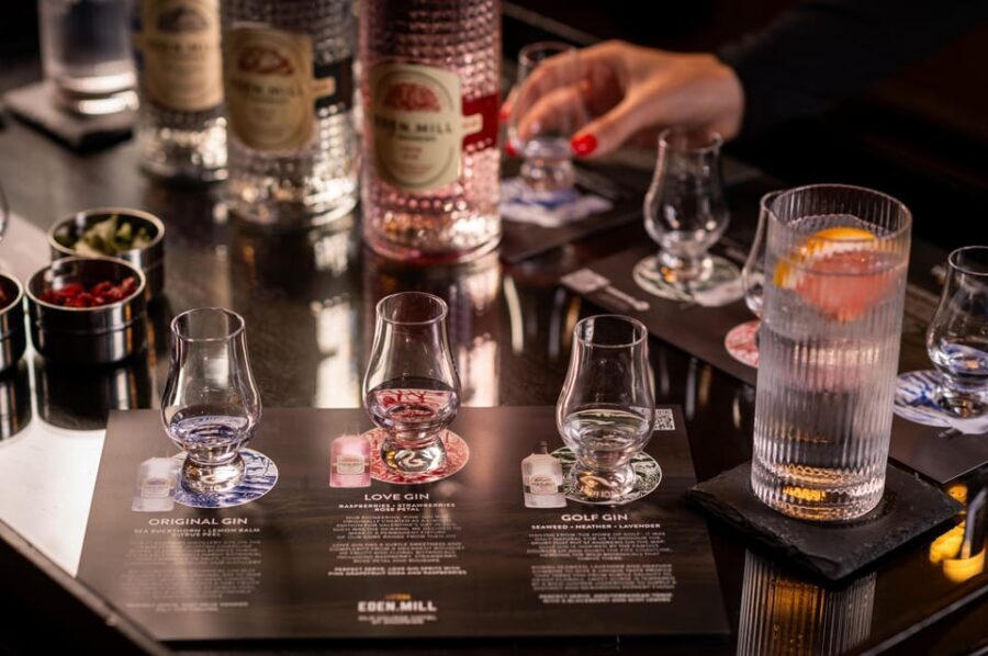 Gin Tasting Experience with a Perfect Serve - Value and Practical Considerations