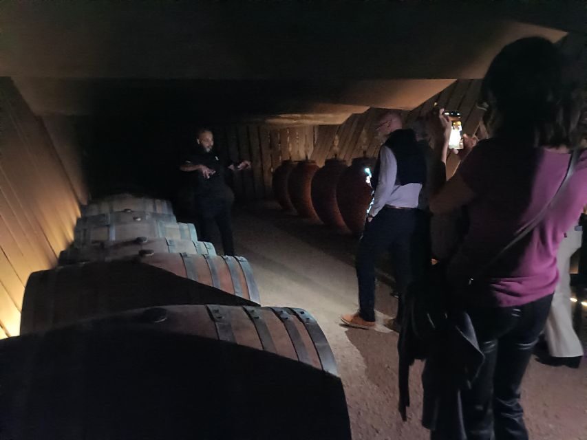 Girona: Local Wineries Tour with Breakfast and Wine Tasting - What Youll Love About This Tour