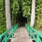 Giverny: Monets House and Gardens Skip-the-Line Tour - What the Reviews Reveal