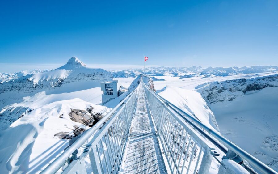 Glacier 3000: High Level Experience Private Tour - What Makes This Tour Special