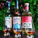 Glasgow: Guided City Highlights Tour & Whisky Tasting (5pm) - The Practicalities