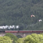 Glenfinnan: Cruise on Loch Shiel Glenfinnan to Gaskan area - The Complete Itinerary Breakdown