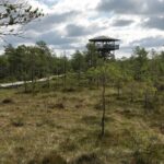 Go North  Private 1 Day Trip to Estonian Nature - What’s Included and What’s Not