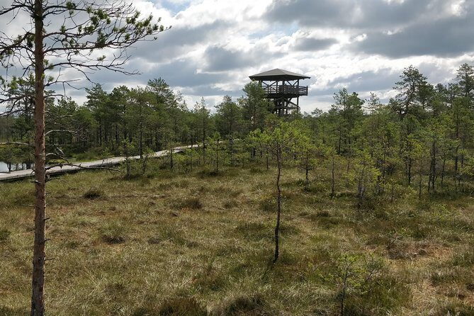 Go North  Private 1 Day Trip to Estonian Nature - What’s Included and What’s Not