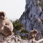 Go Tours 360° Experience in Gibraltar with Professional Guide - Catalan Bay: A Quiet Coastal Charm