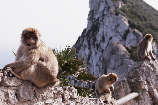 Go Tours 360° Experience in Gibraltar with Professional Guide - Catalan Bay: A Quiet Coastal Charm