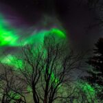 Golden Circle & Northern lights in Iceland - Who Will Love This Tour?